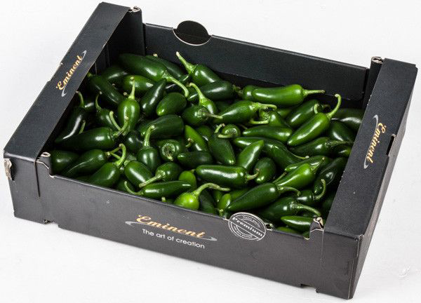Feferonka Jalapeno zelená čerstvá 2 kg - Chilli, feferonky, Papriky ...