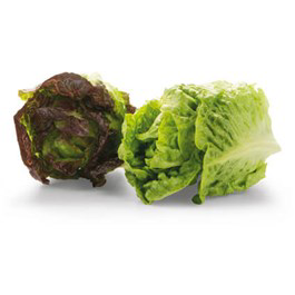 METRO Chef Salát Little Gem mix CZ čerstvý 2 ks - Saláty ostatní ...