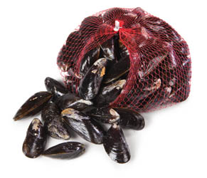 Slávka jedlá chov na lanech MSC chlaz. váž. 1 kg síťka - Slávky ...