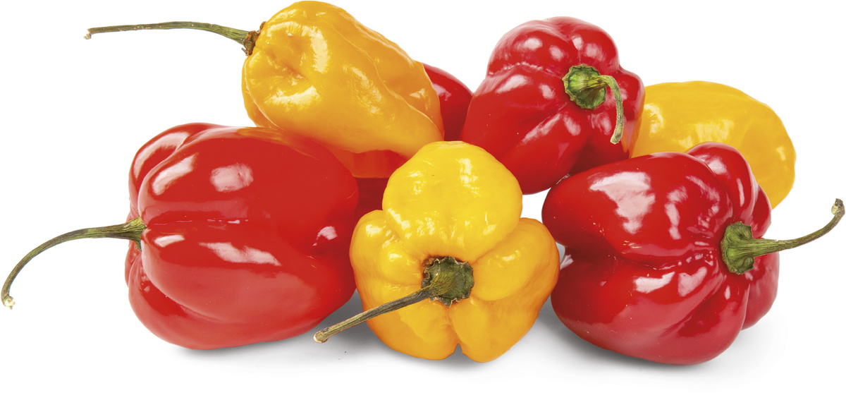 Feferonka Habanero mix čerstvé 50 g - Chilli, feferonky, Papriky ...