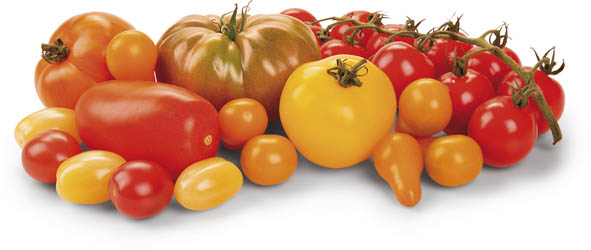 Rajčata Inca mix čerstvá 1 kg - Rajčata ostatní, Rajčata, Zelenina ...