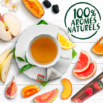 Coffret infusions aromatisées 50 sachets pyramide Elephant