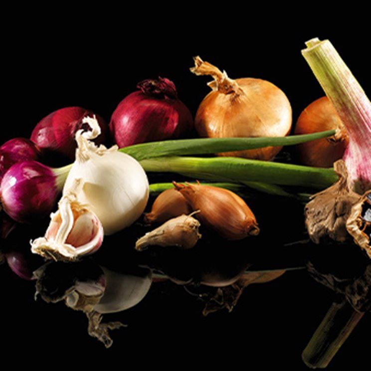 Grossiste légumes : fraîcheur et choix au quotidien | METRO