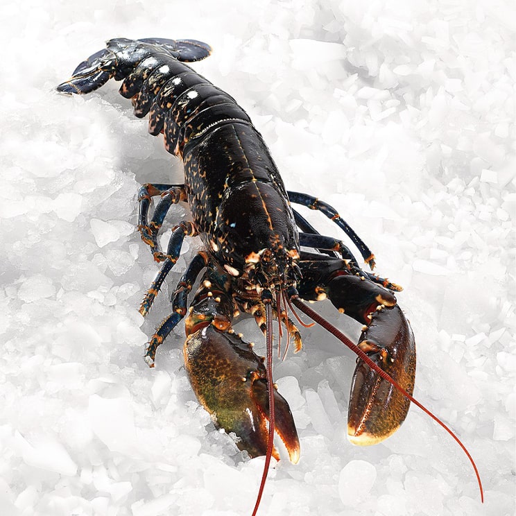 Les produits de saison : zoom sur les variétés d'été | METRO