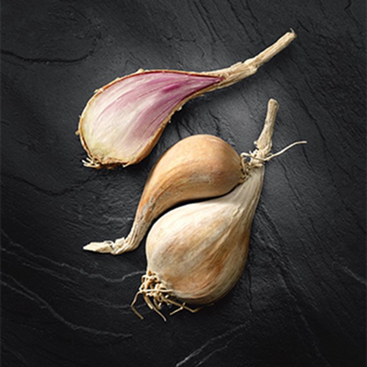 Les produits de saison : zoom sur les variétés d'été | METRO