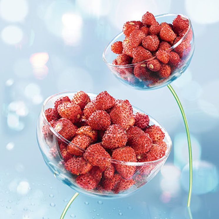 Grossiste surgelés : les bienfaits des saveurs givrées | METRO