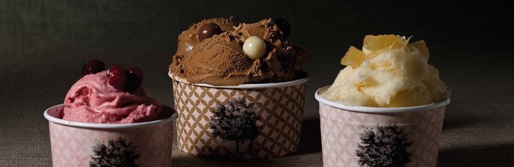 Grossiste glaces et sorbets : les desserts givrées | METRO