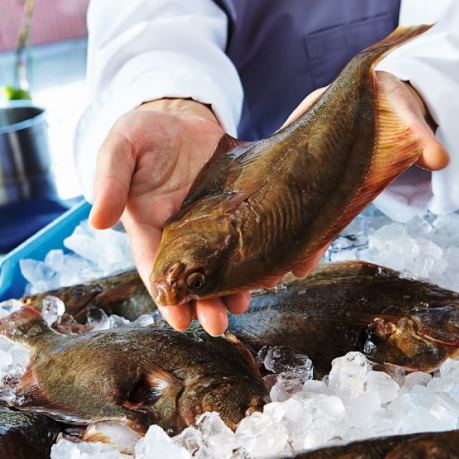 Peşte oceanic proaspăt/congelat: somon, doradă, macrou | Metro