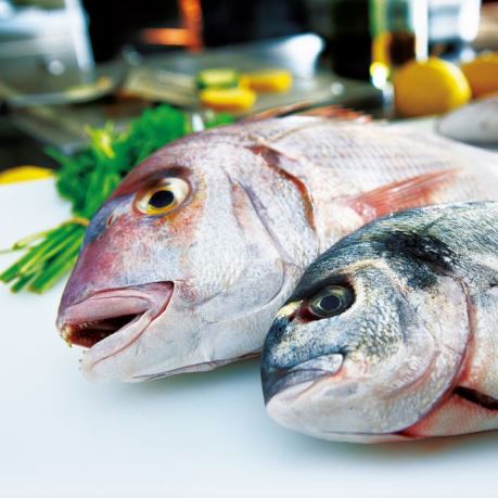 Peşte oceanic proaspăt/congelat: somon, doradă, macrou | Metro