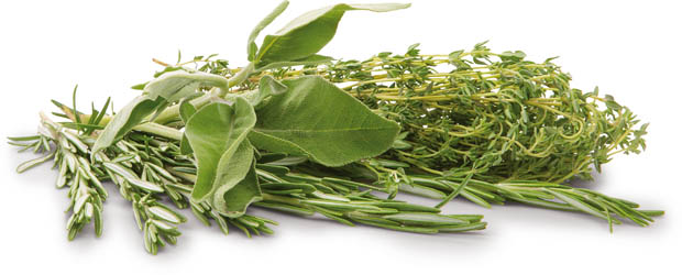 METRO Chef Zmes byliniek na gril čerstvá 50 g - Bylinky mix, Bylinky ...